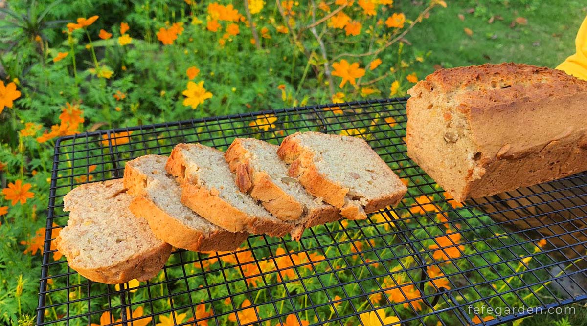 Menu - Homestay Ba Vì, Hà Nội